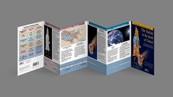 Pamphlet - Statue in the book of Daniel - Reformation Herald Bookstore